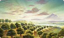 Corel Painter 11 - Corel Painter Masters - Michael Bast